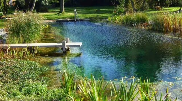 Embracing Your Future: Natural Pools – The Meaning of Water