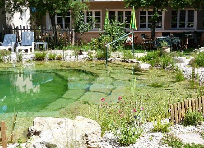 Embracing Your Future: Natural Pools – The Meaning of Water