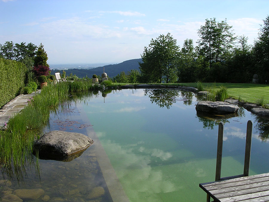 Embracing Your Future: Natural Pools – The Meaning of Water