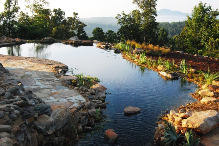 Embracing Your Future: Natural Pools – The Meaning of Water