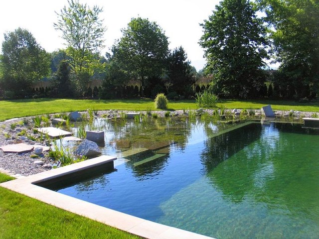 Embracing Your Future: Natural Pools – The Meaning of Water