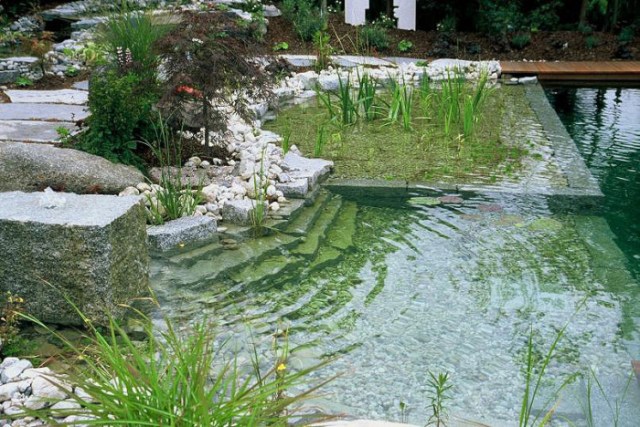 Embracing Your Future: Natural Pools – The Meaning of Water