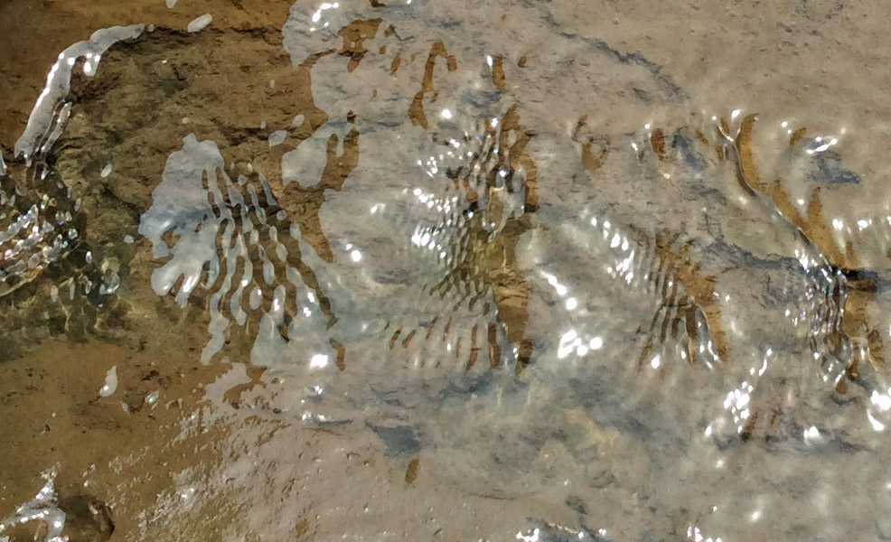 Water Is…A Catalyst – The Meaning of Water
