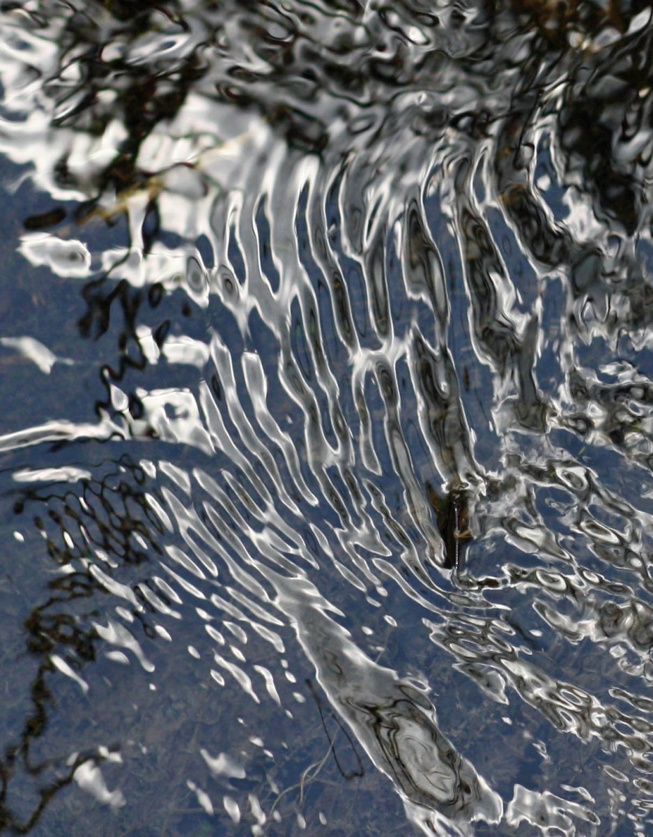 How Whales Change Climate… – The Meaning of Water