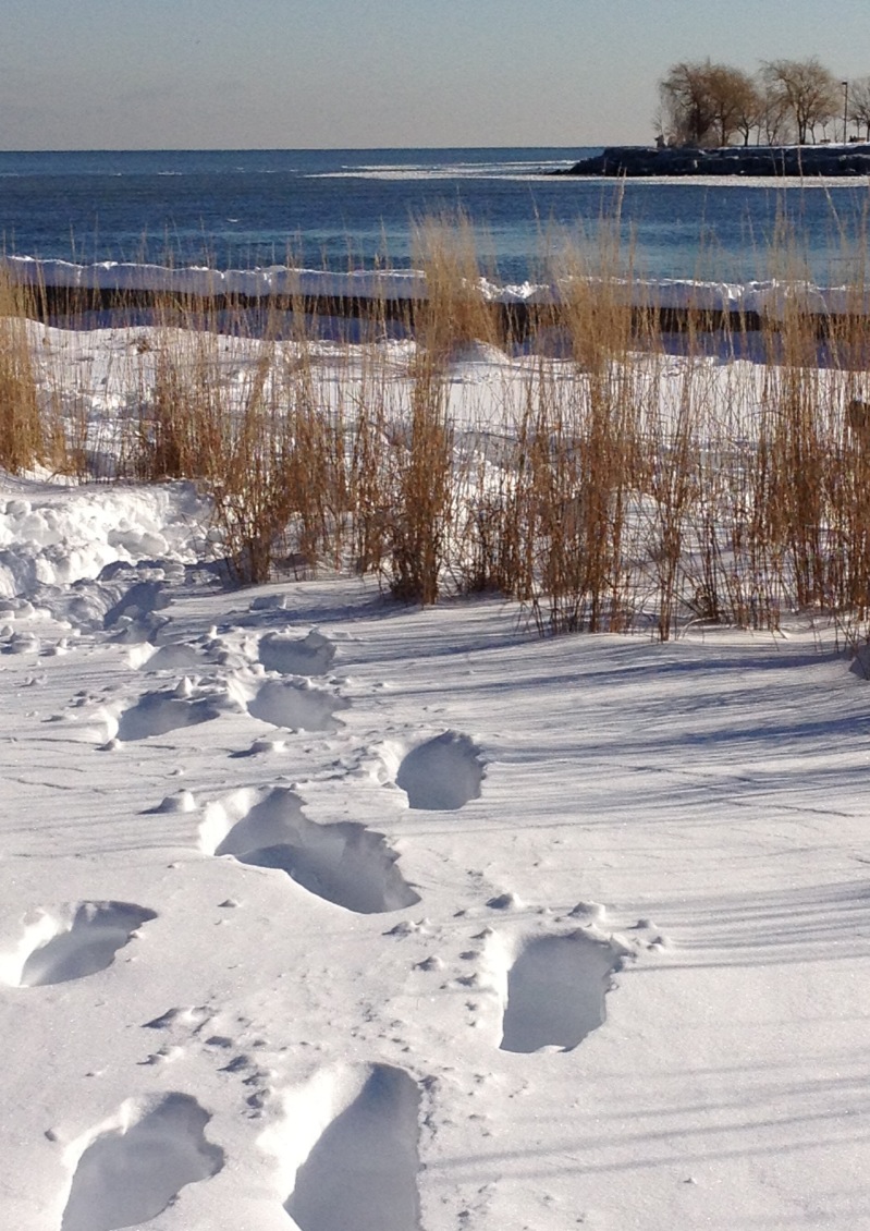 Snow Is… – The Meaning of Water