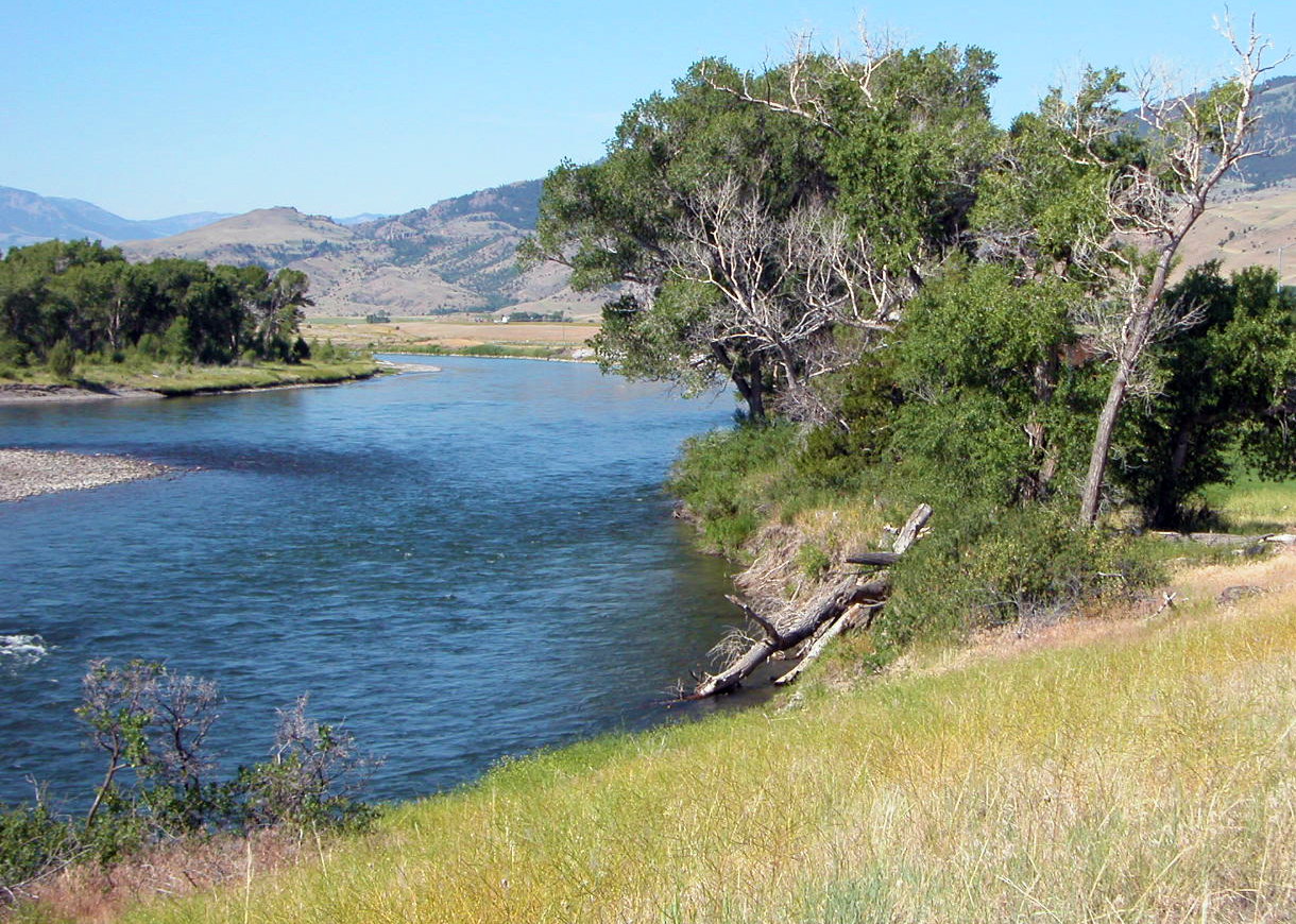 How the Wolves Changed a River… – The Meaning of Water