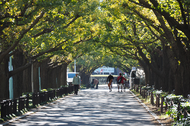The Greenest Cities in the World – The Meaning of Water