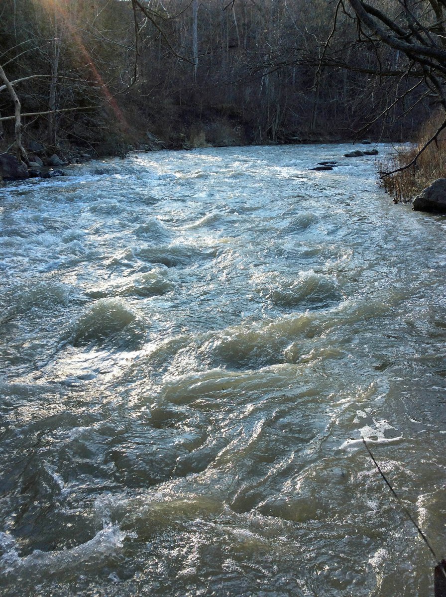 A Winter Walk Along the Rouge River – The Meaning of Water