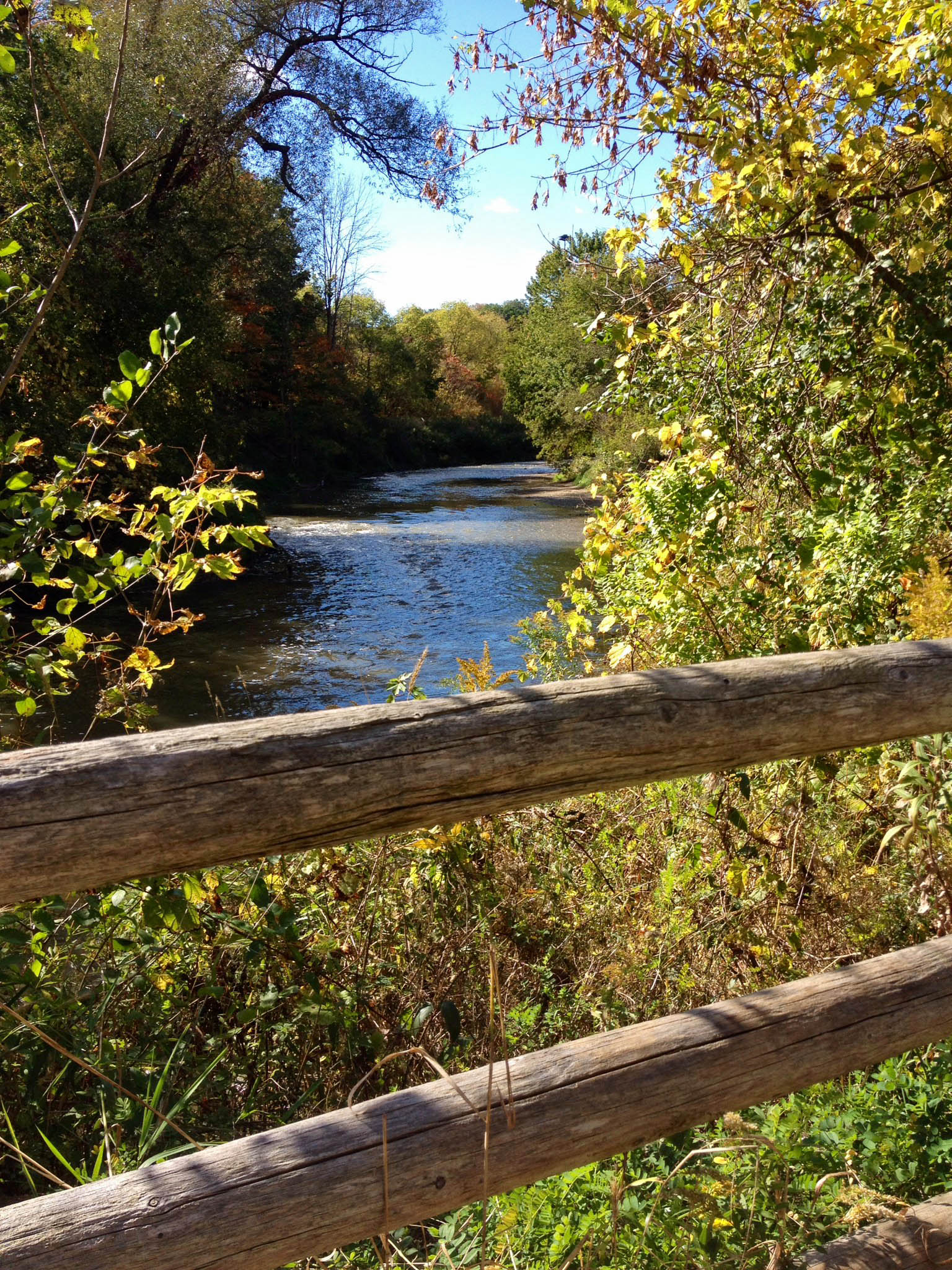 Urban Waterways: the East Don River – The Meaning of Water