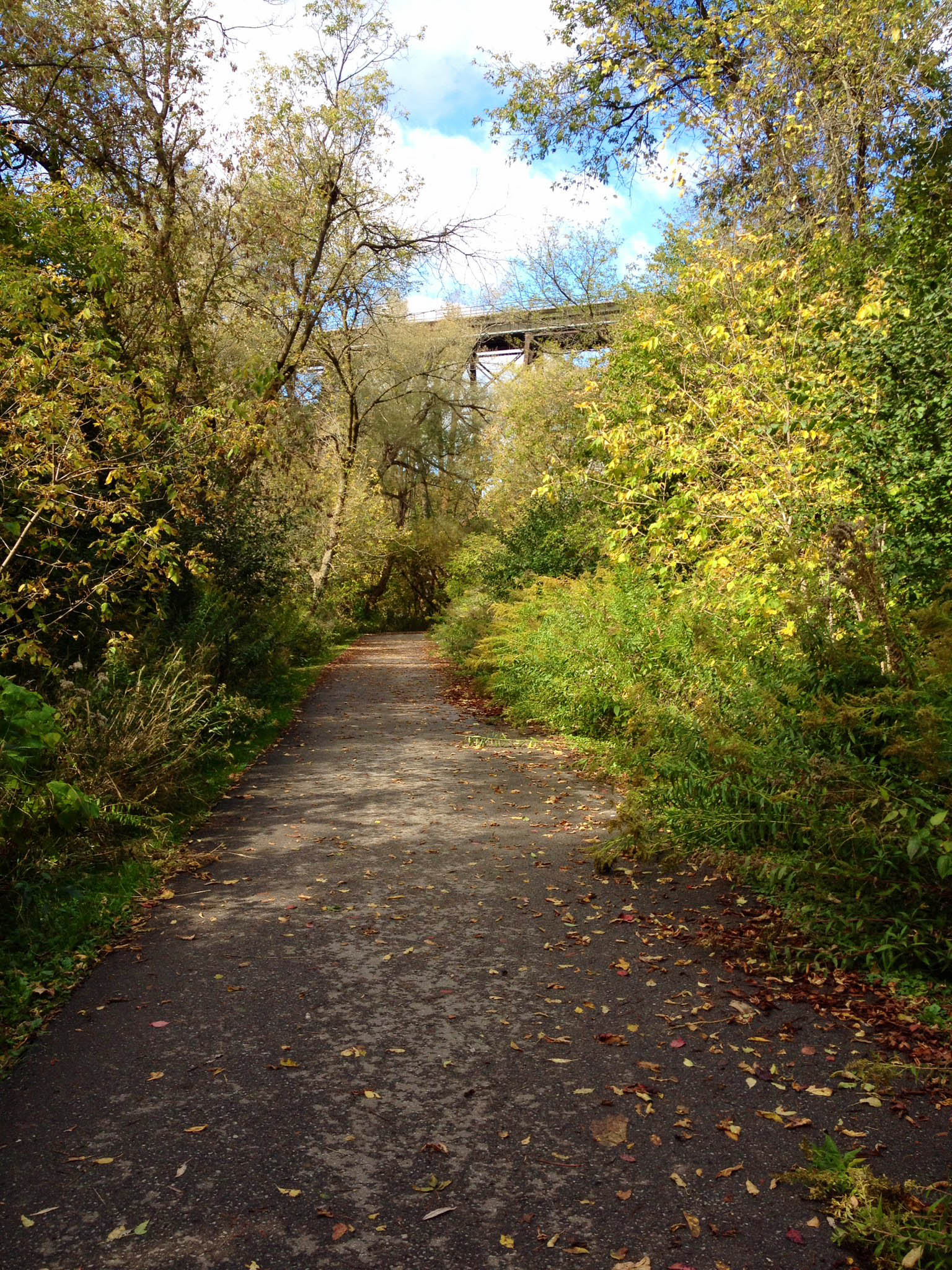 Urban Waterways: the East Don River – The Meaning of Water