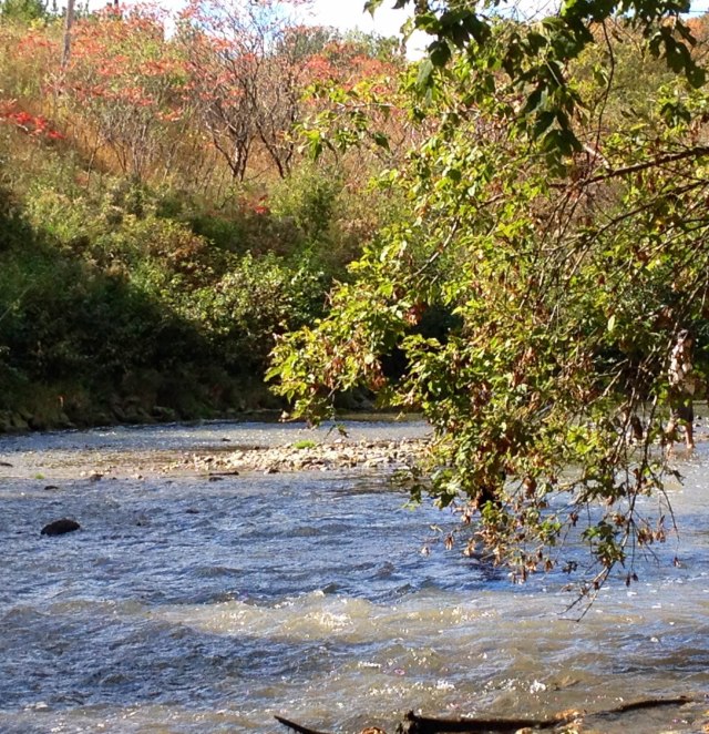 Urban Waterways: the East Don River – The Meaning of Water