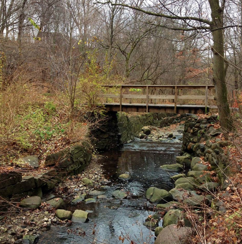 Urban Waterways: Toronto’s Ravines – The Meaning of Water