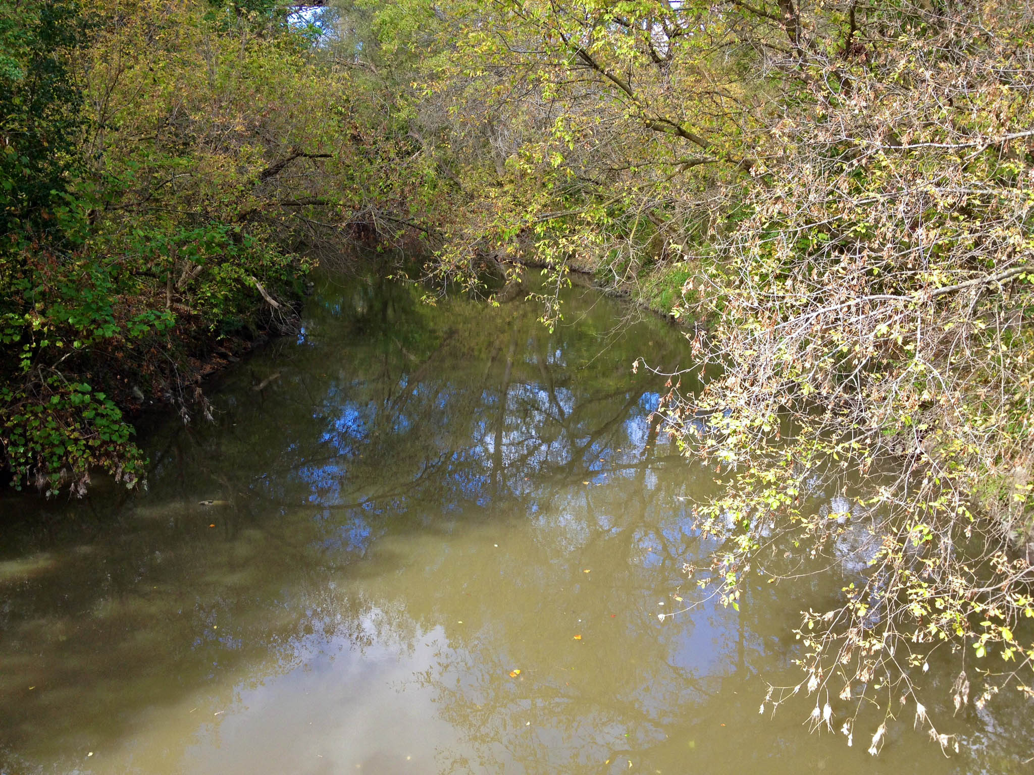 Urban Waterways: the East Don River – The Meaning of Water