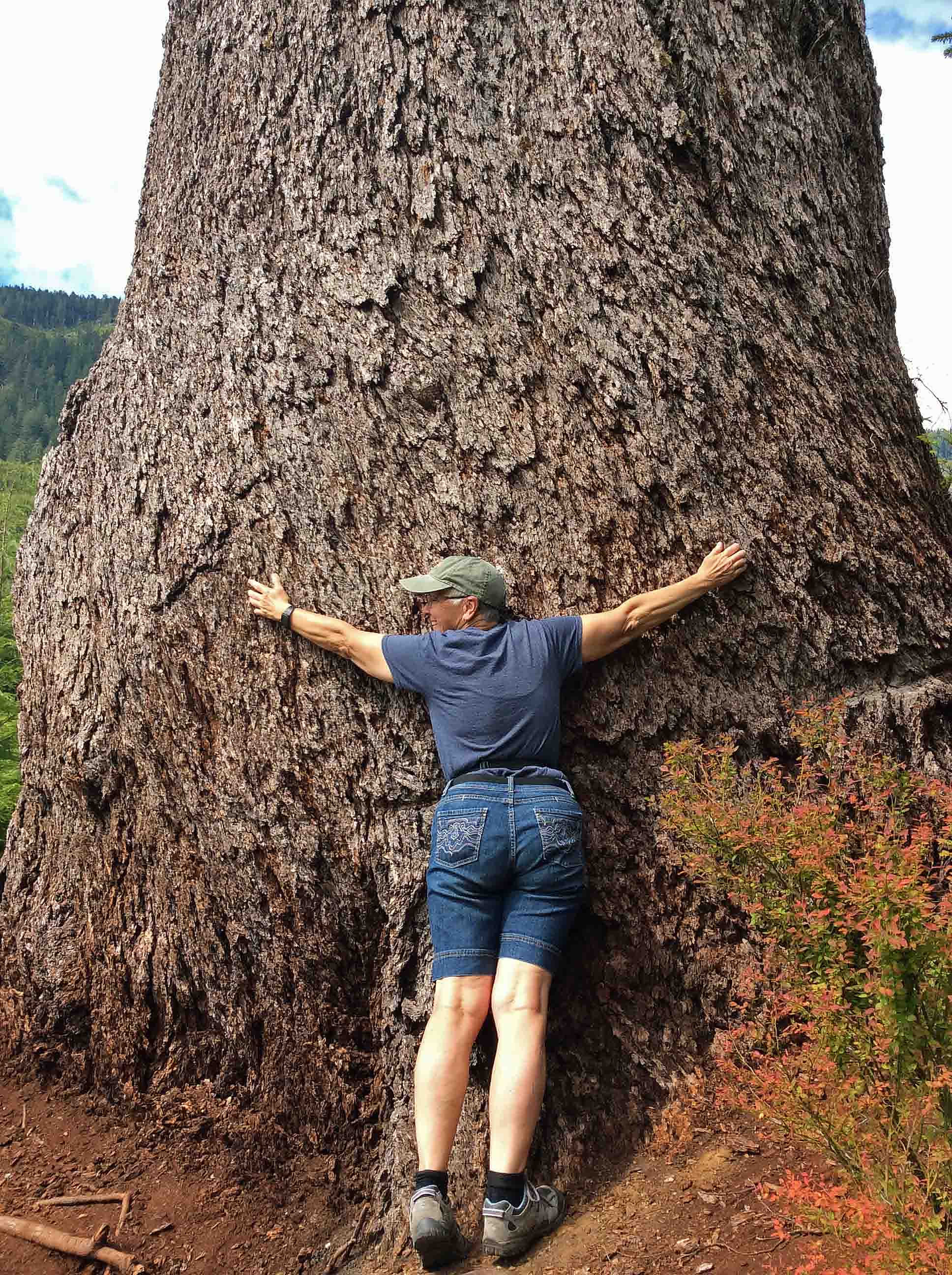 Port Renfrew: Canada’s Tall Tree Capital – The Meaning of Water