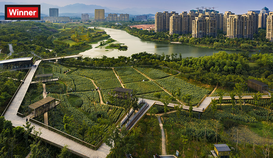 Turning Cities into Sponges: Viewing The City as a Living Organism ...