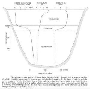 Lake Study: A Meromictic Treasure in Petroglyph Park – The Meaning of Water