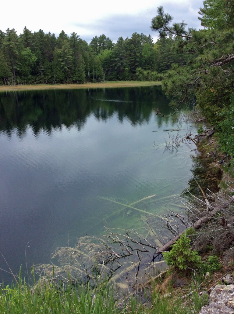 Lake Study: A Meromictic Treasure in Petroglyph Park – The Meaning of Water