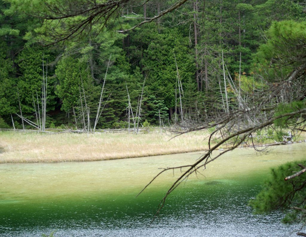 Lake Study: A Meromictic Treasure in Petroglyph Park – The Meaning of Water