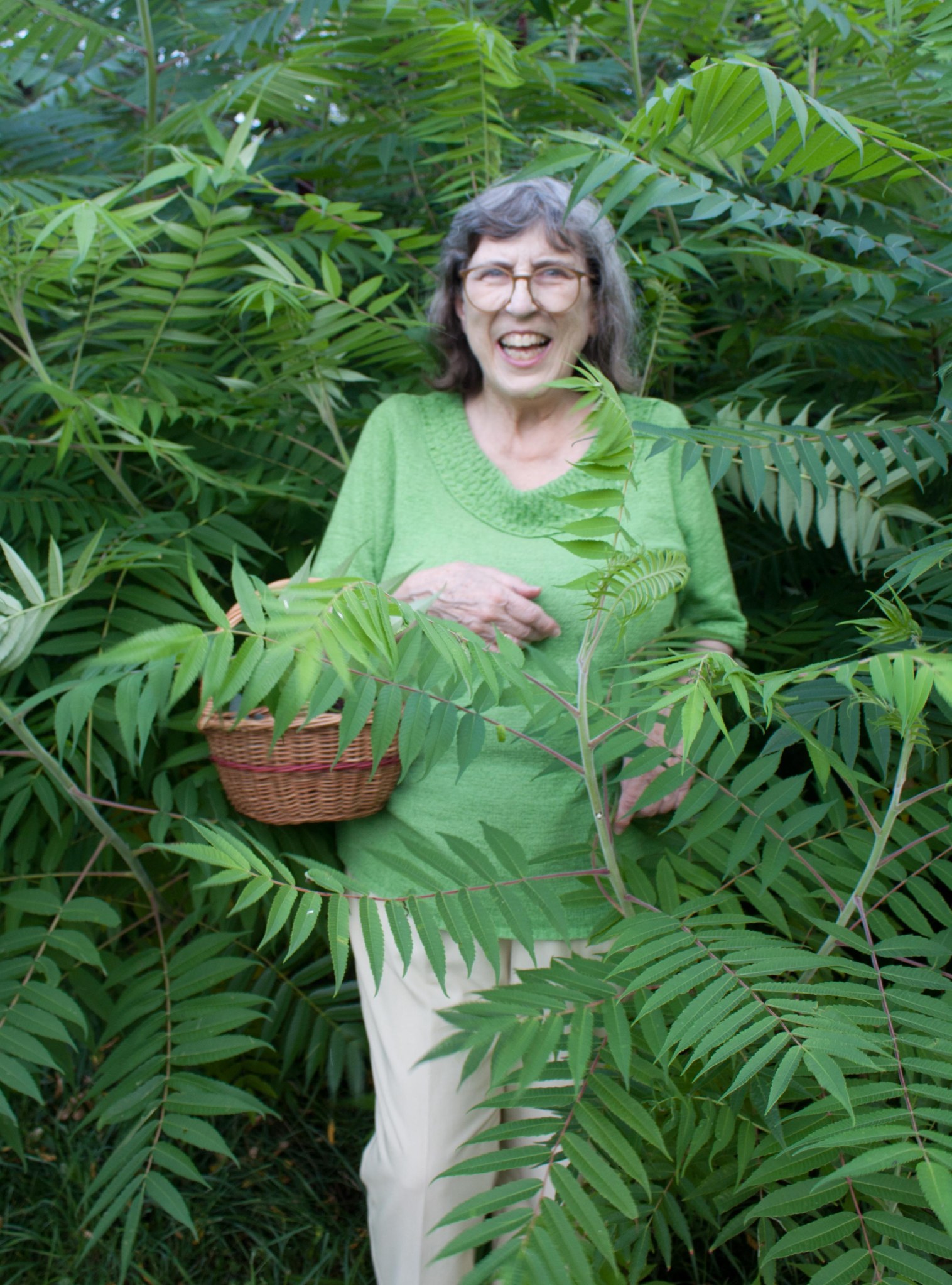 Finding Magic in The Staghorn Sumac—Foraging – The Meaning of Water