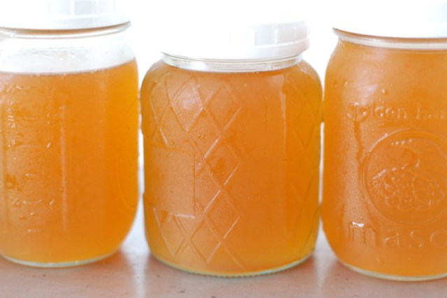 Finding Magic in the Basswood Tree—Foraging – The Meaning of Water