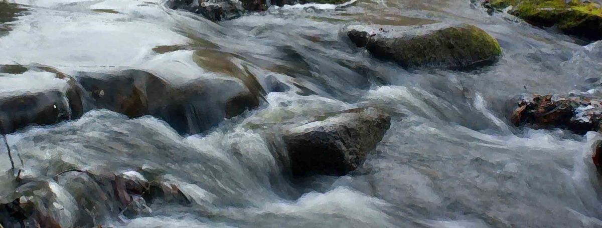 The Story of Water: Part 3, The Trickster – The Meaning of Water