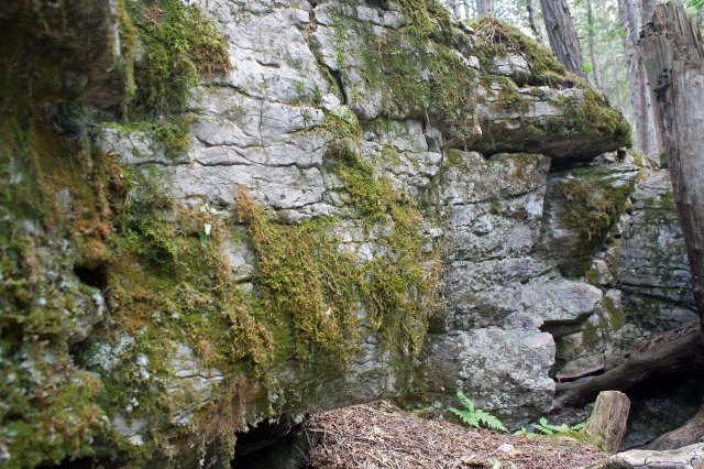 Spelunking in Warsaw Caves – The Meaning of Water