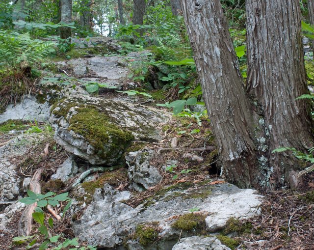 Spelunking in Warsaw Caves – The Meaning of Water