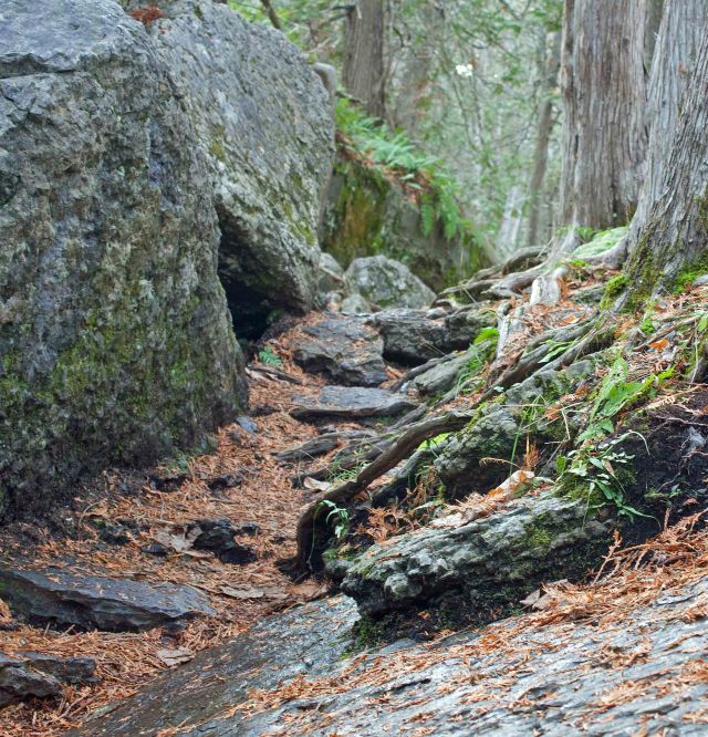 Spelunking in Warsaw Caves – The Meaning of Water