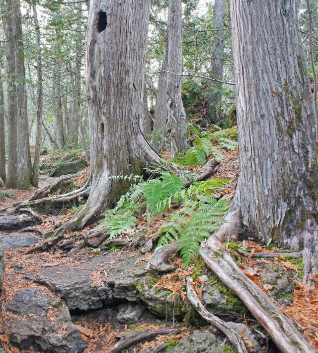 Spelunking in Warsaw Caves – The Meaning of Water