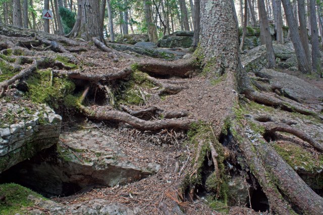 Spelunking in Warsaw Caves – The Meaning of Water