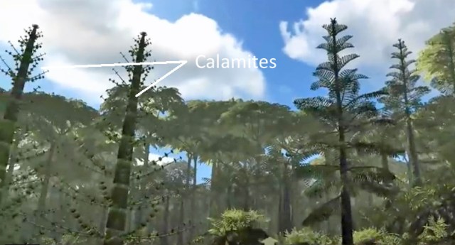 Equisetum: From Giant Tree to Little Plant—A Study & An Evolution – The ...