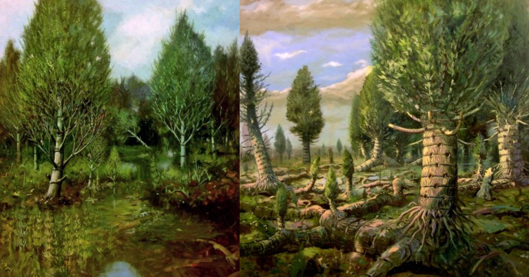 Equisetum: From Giant Tree to Little Plant—A Study & An Evolution – The ...