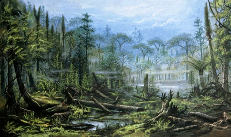 Equisetum: From Giant Tree to Little Plant—A Study & An Evolution – The ...