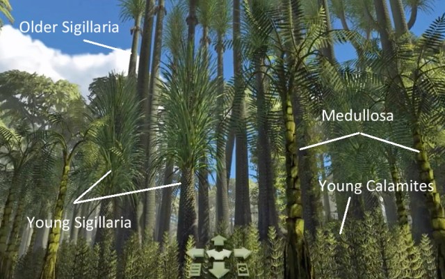Equisetum: From Giant Tree to Little Plant—A Study & An Evolution – The ...
