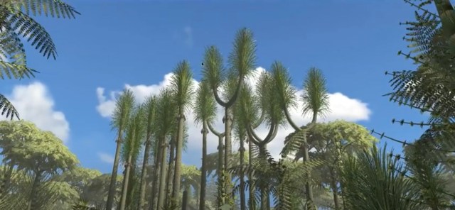 Equisetum: From Giant Tree to Little Plant—A Study & An Evolution – The ...