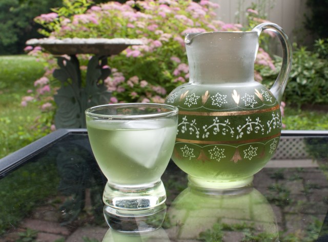 Pineapple Weed (Wild Chamomile): A Taste of Home—Foraging – The Meaning ...