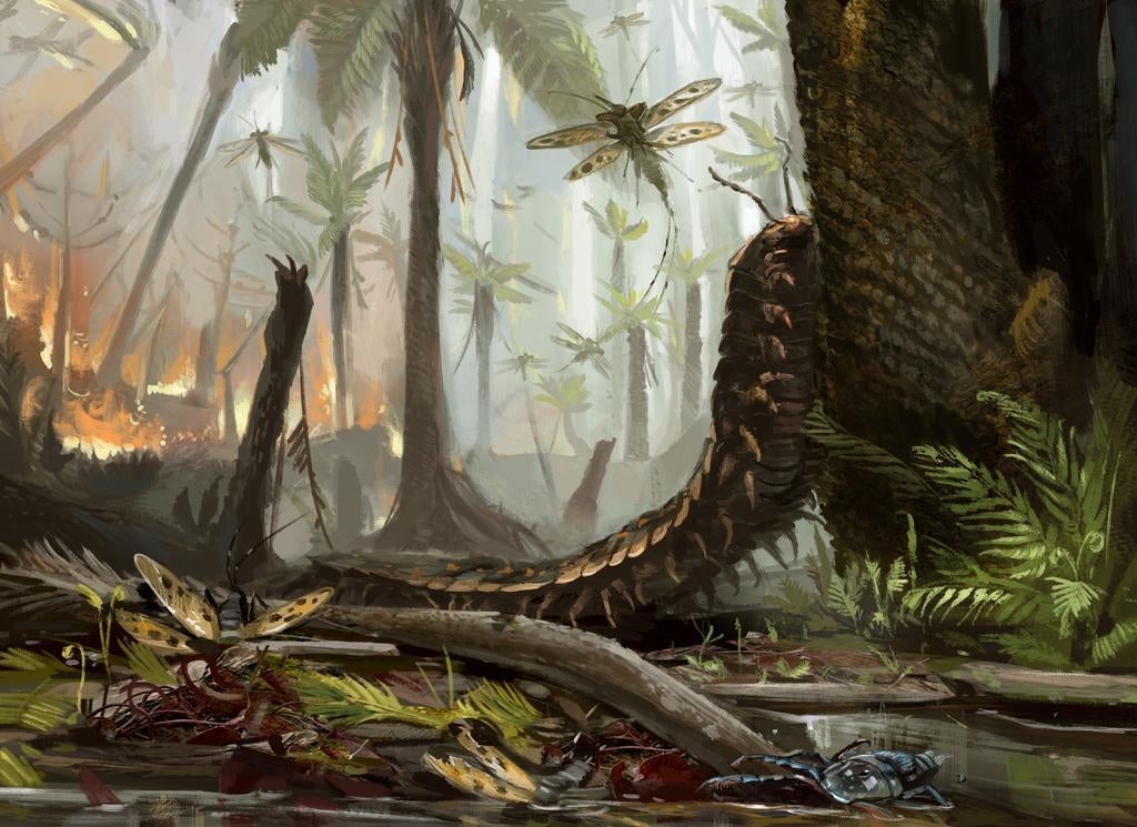 The Age of Oxygen & the Giant Insects – The Meaning of Water