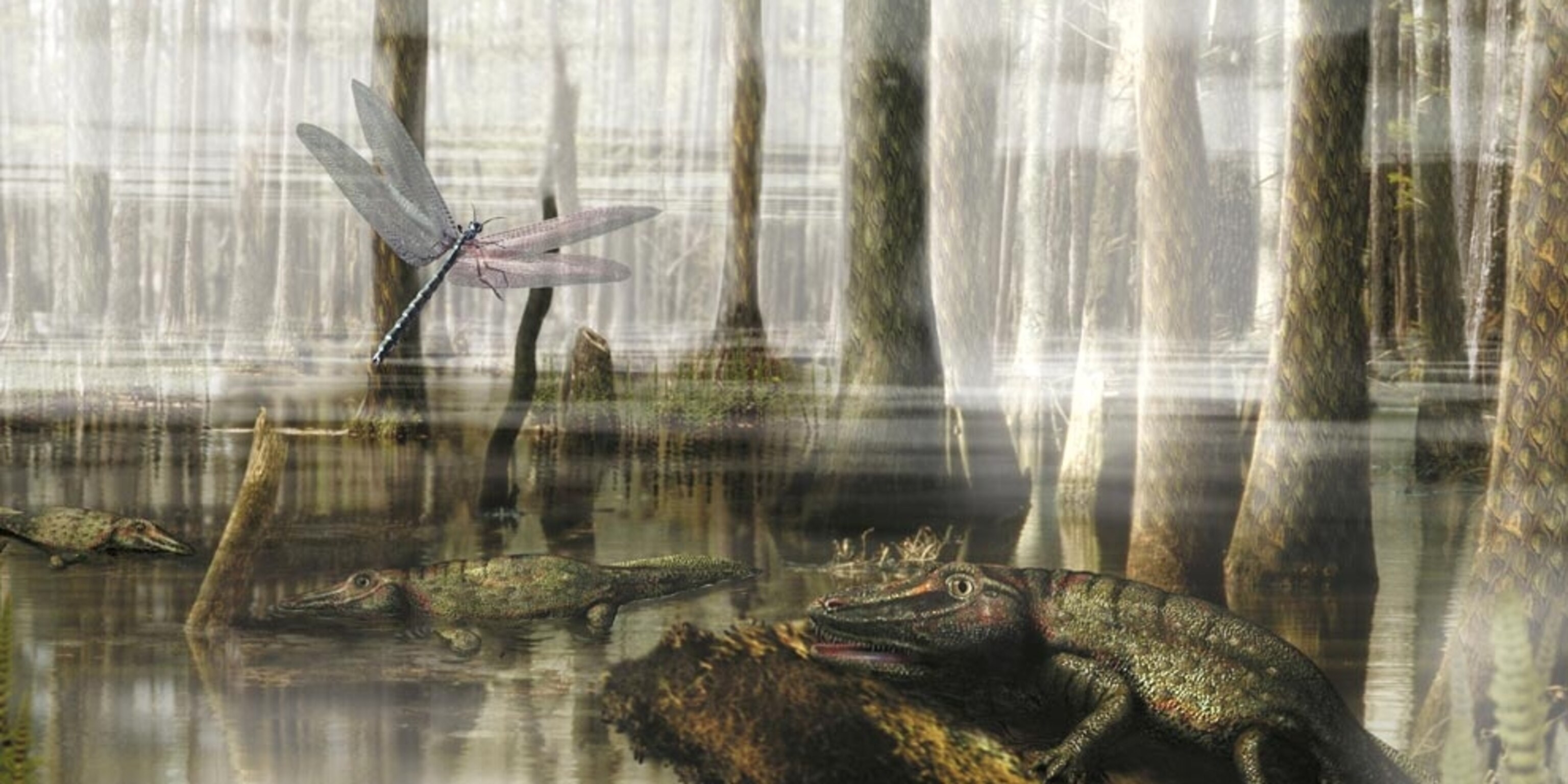 The Age of Oxygen & the Giant Insects – The Meaning of Water