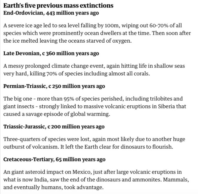 Mass Extinctions—Not Just a Thing of the Past… – The Meaning of Water