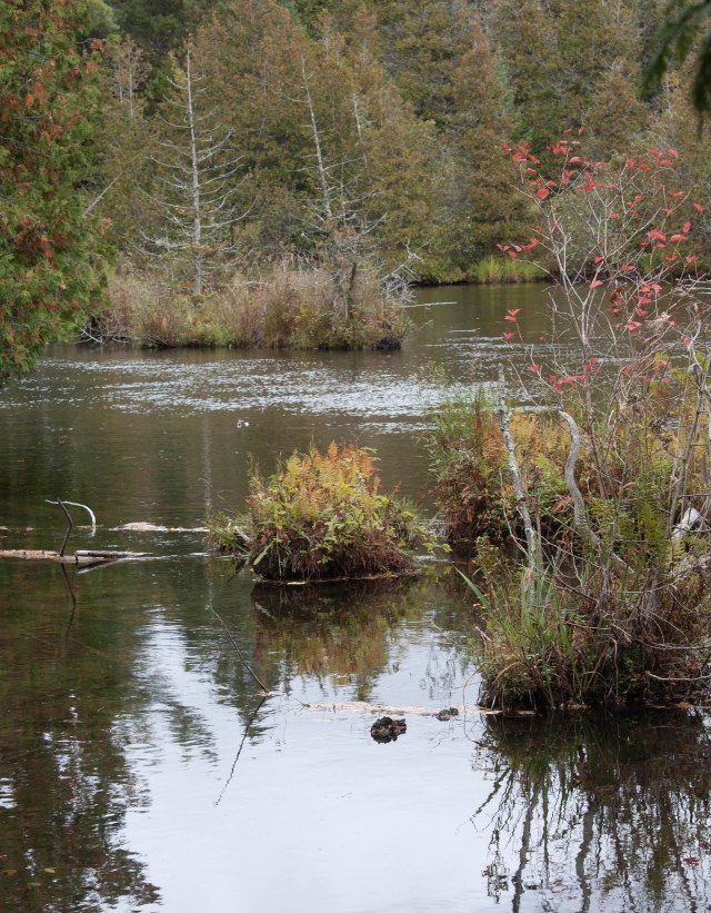 Spelunking in Warsaw Caves – The Meaning of Water
