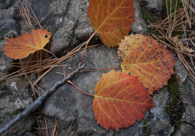 Spelunking in Warsaw Caves – The Meaning of Water