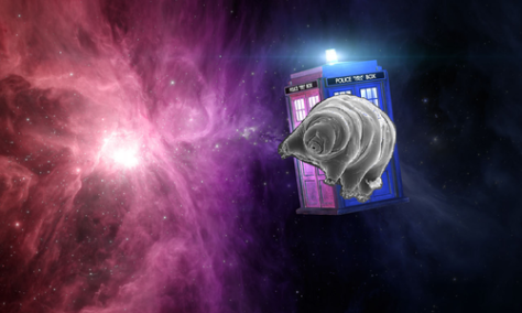 A Tardigrade Christmas … (A Different Christmas Story, with a nod to ...