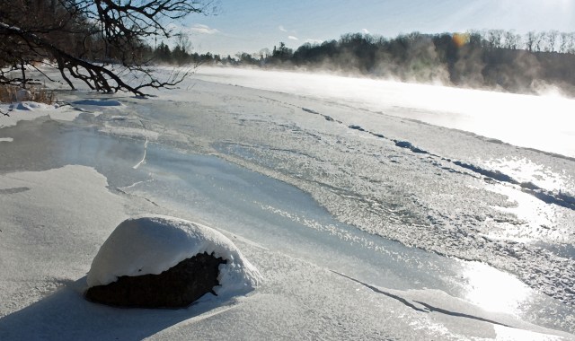 Surviving the Bitter Cold of Winter in The Subnivean Zone – The Meaning ...