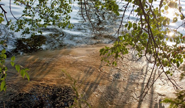 When Diatoms Bloom in Spring… – The Meaning of Water