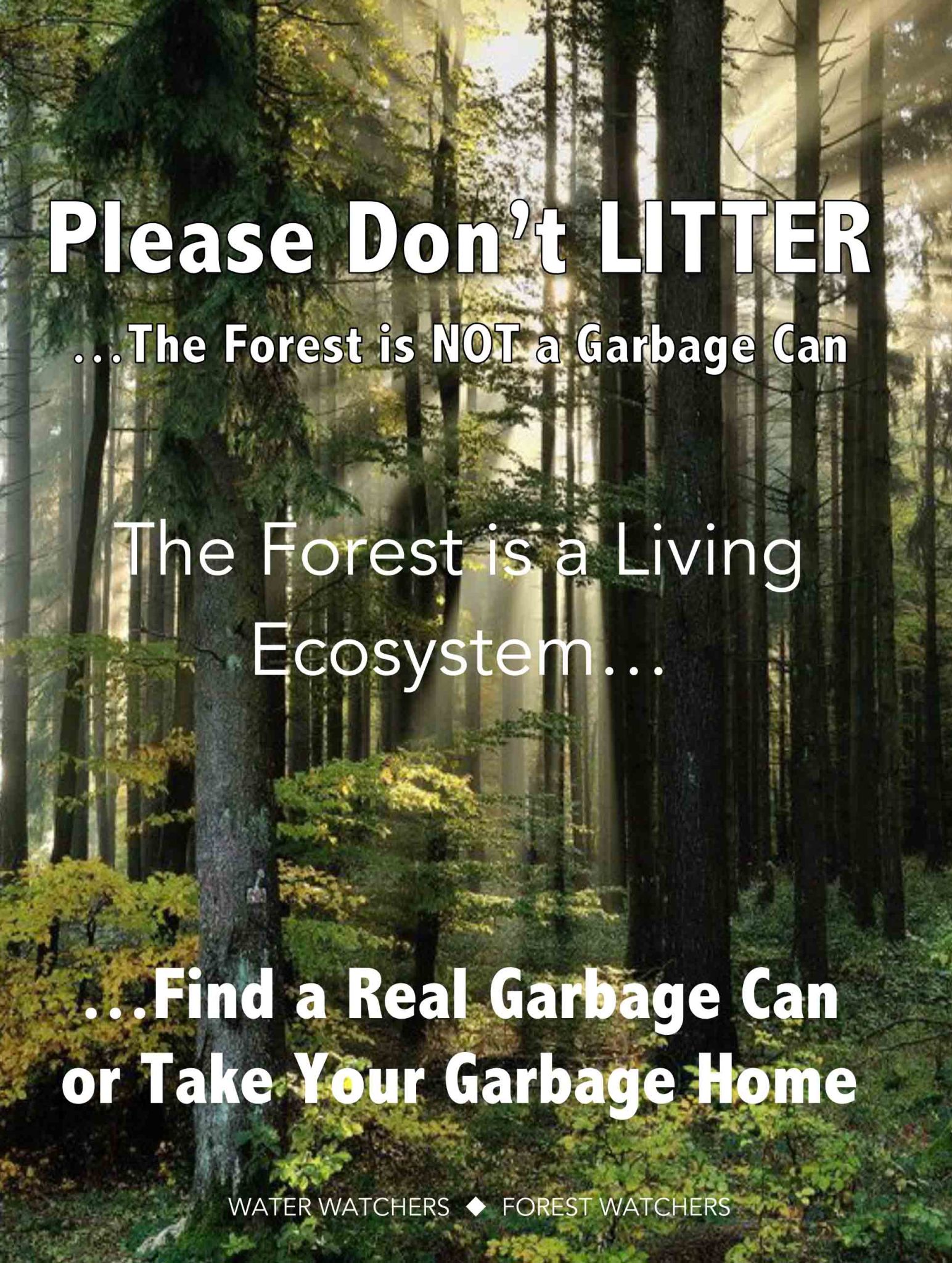 Why Some People Litter and Why Some Don’t… – The Meaning of Water