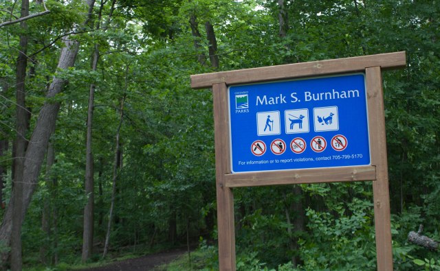 Hiking the Mark S. Burnham Forest in Summer – The Meaning of Water