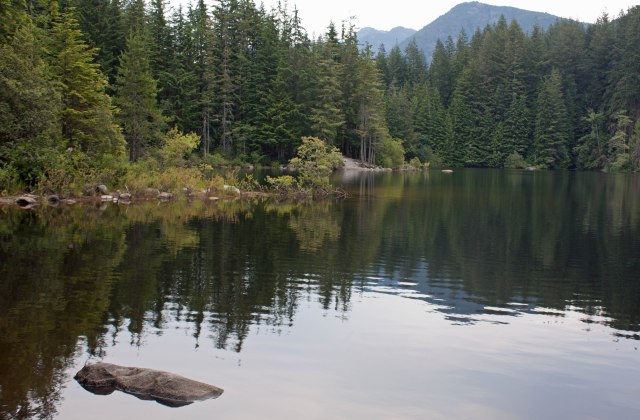 Walking the Old-Growth Parks in Vancouver Area – The Meaning of Water