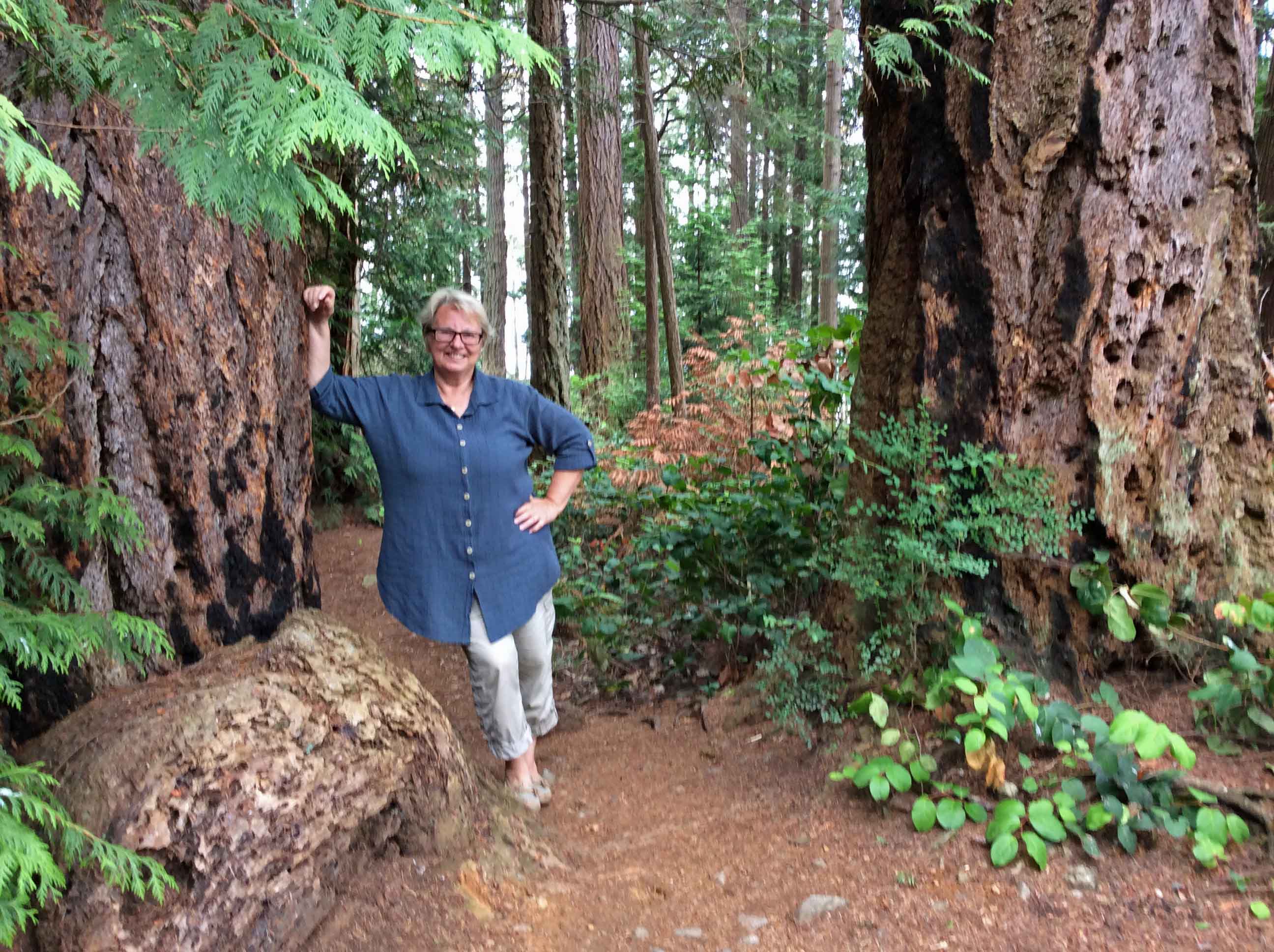 Douglas Fir, Giant of the Rainforest—A Tree Study – The Meaning of Water